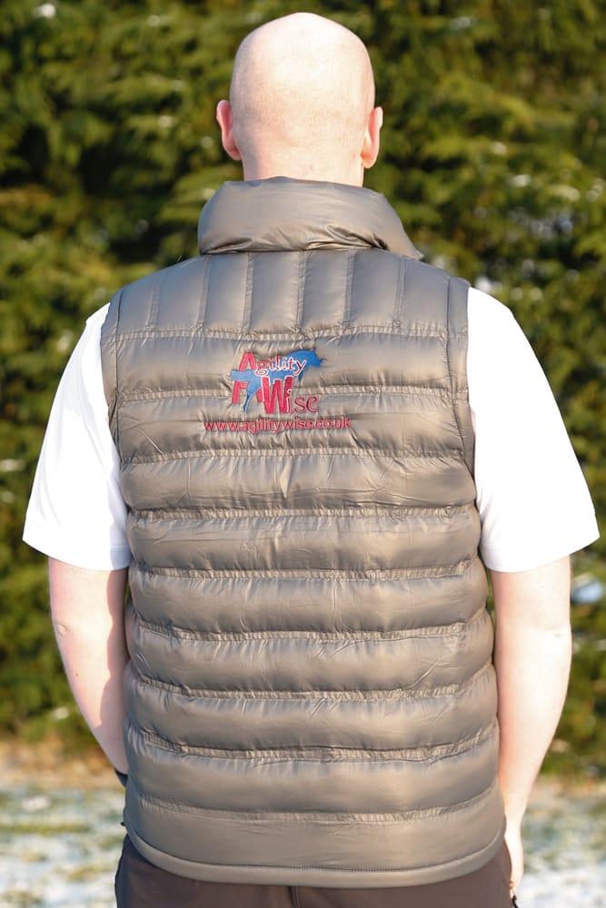 Merchandise - Agility Wise